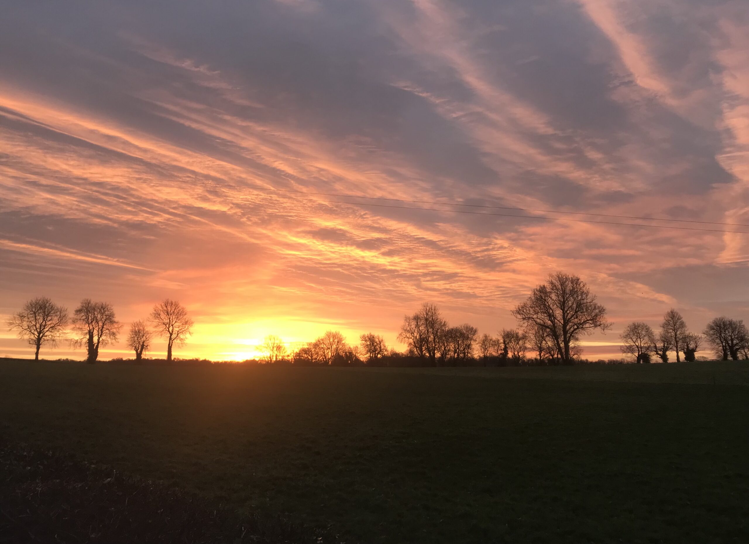 Esther Robinson | Author